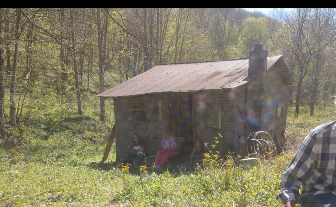 Life in the Holler: Growing Up in the Appalachian Mountains of Western ...