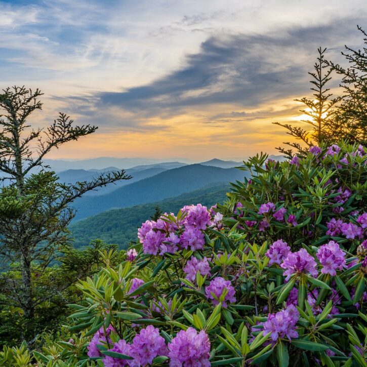 Mountain Symphony – Echoes of Appalachia