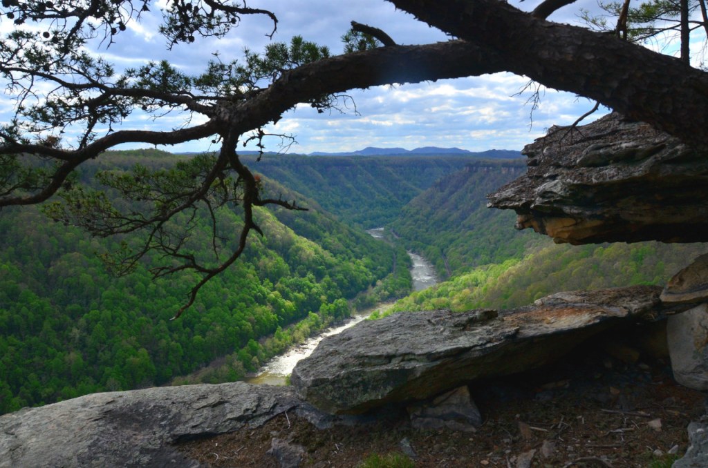 Poisoned Rivers, The Silent Crisis Flowing Through Appalachia’s Heart ...
