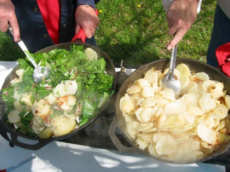 Ramps Rise Again: 2025 Appalachian Ramp Festivals Celebrate Mountain ...