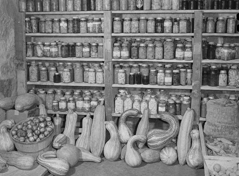 Canning Time in Appalachia: Preserving the Past, One Jar at a Time ...