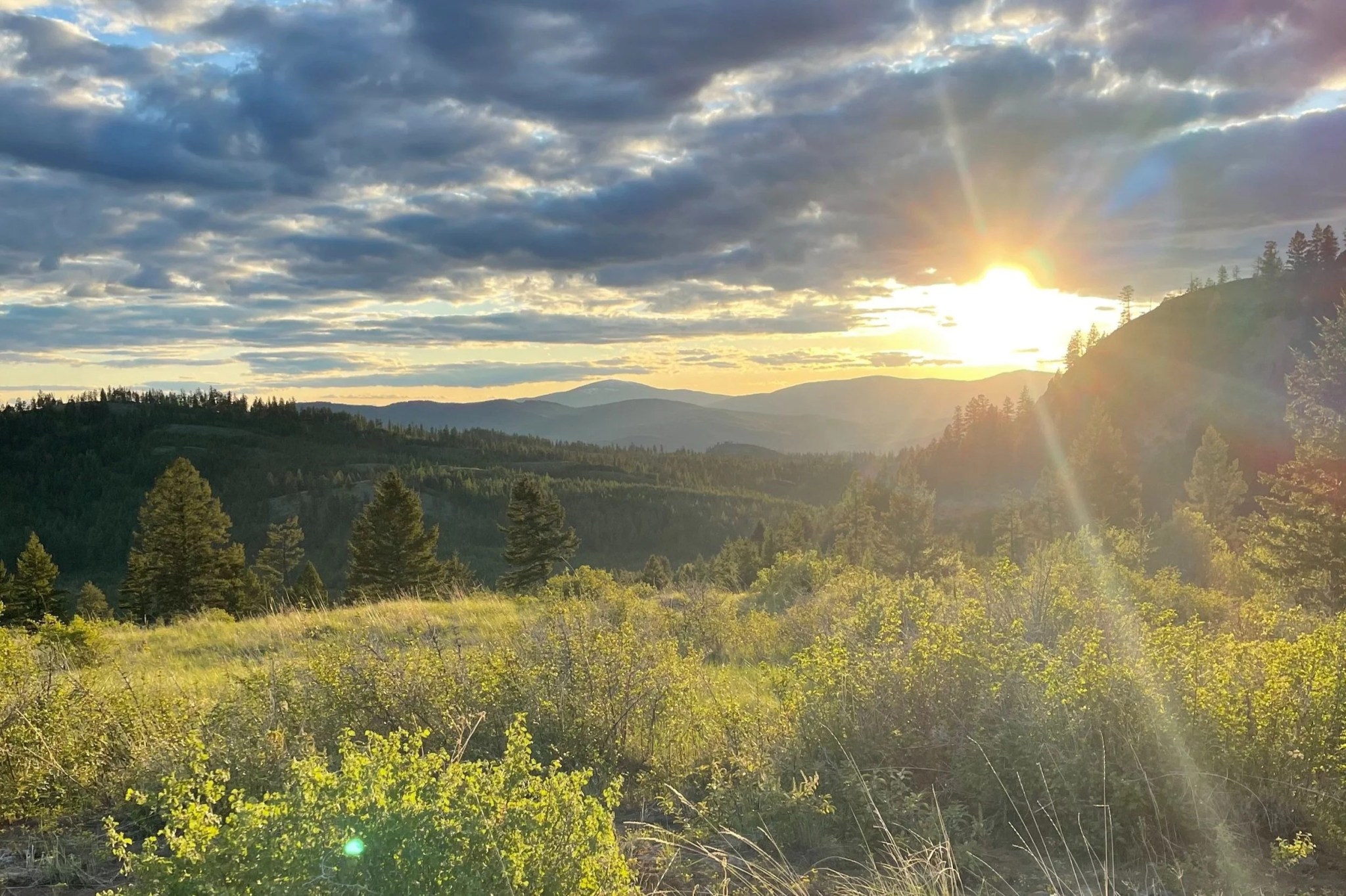 Echoes of Appalachia – Where Tradition Meets Modern Tales